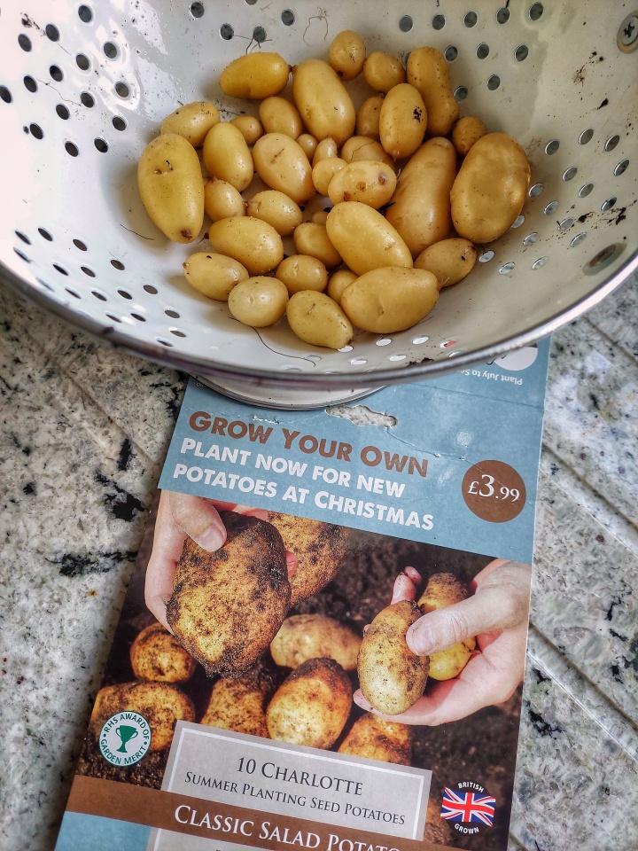 Digging My Potatoes | JohnRH | Blipfoto