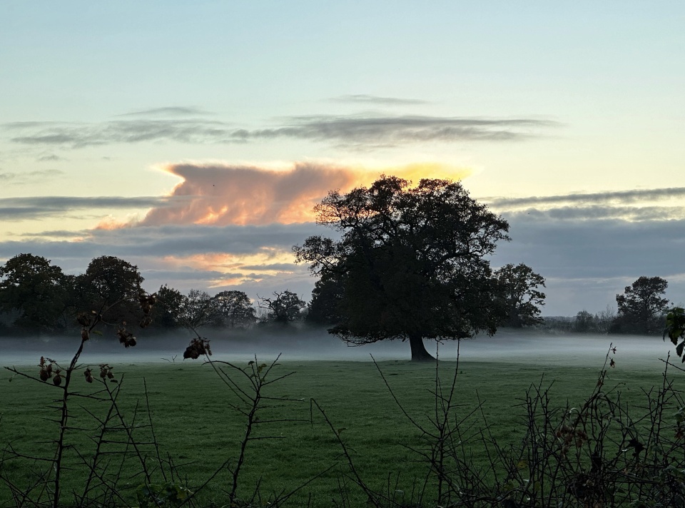 Misty Layer | Technophobe | Blipfoto