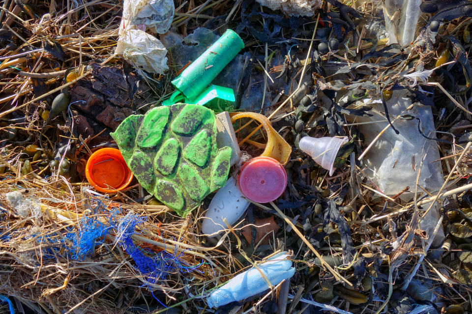 The human midden | Talpa | Blipfoto