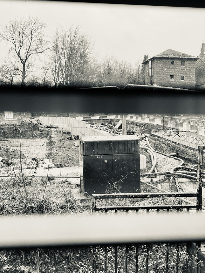 Looking out. | bivbov | Blipfoto