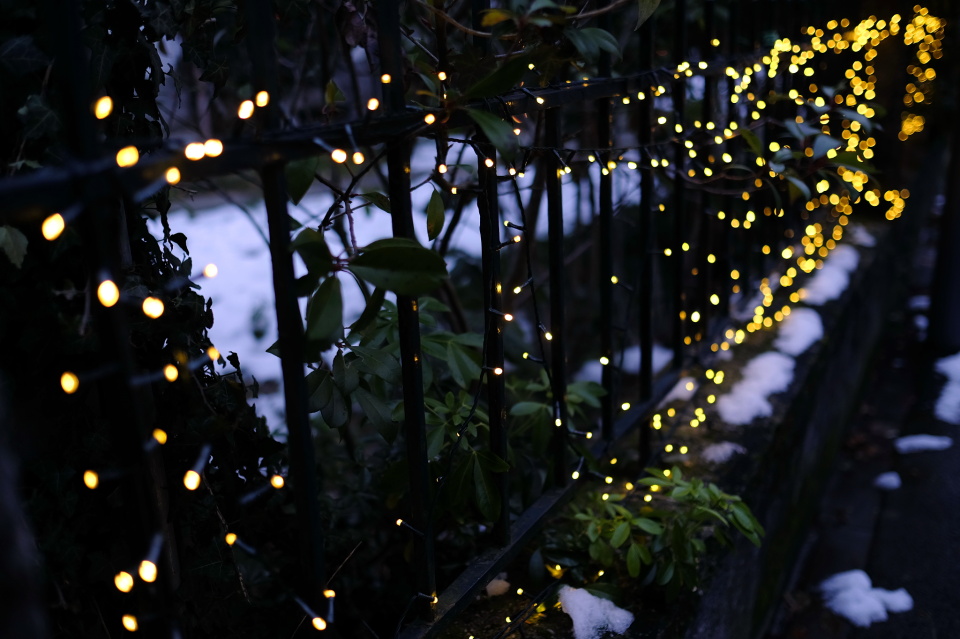Fairy lights on Railings | SandraSuisse | Blipfoto