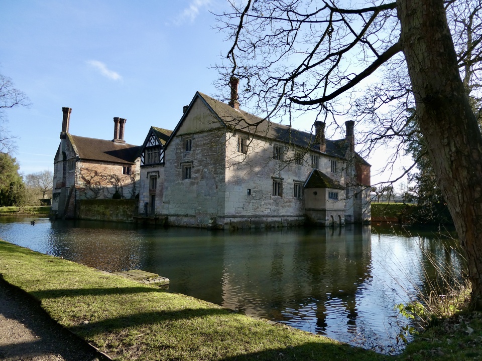 More shimmering light | orchid99 | Blipfoto