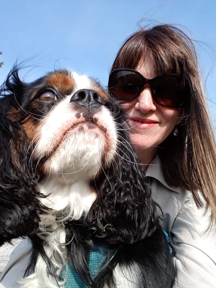 Windswept | Emsie | Blipfoto