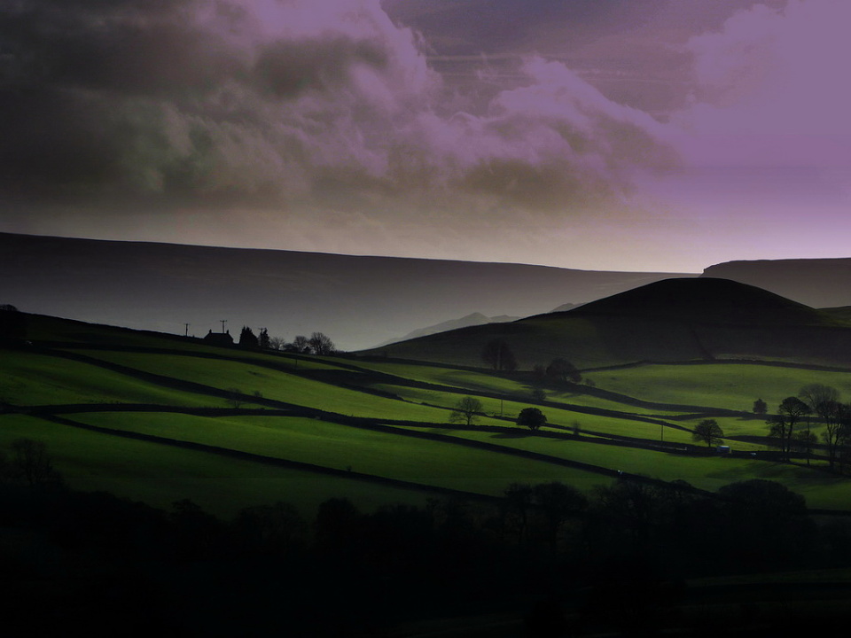 Moody afternoon lighting | Oldgroaner | Blipfoto
