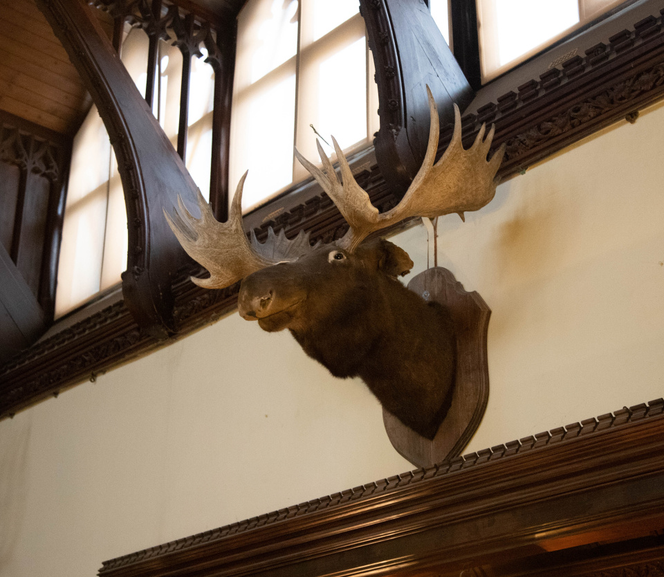 Tradition | Technophobe | Blipfoto