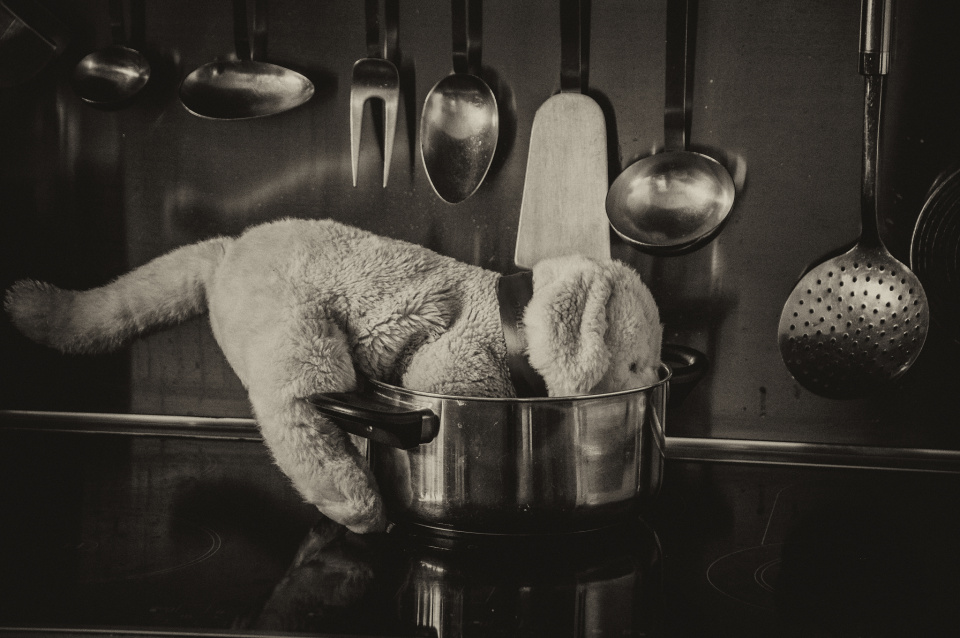 Dog in the pot | Ingeborg | Blipfoto