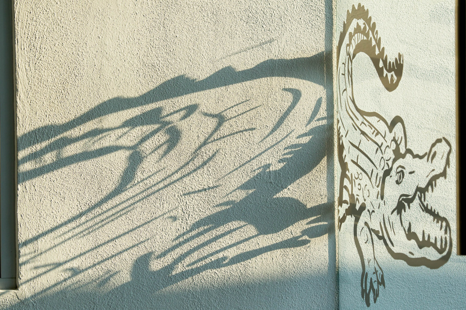 Crocodile Shadow | rsdphotography | Blipfoto