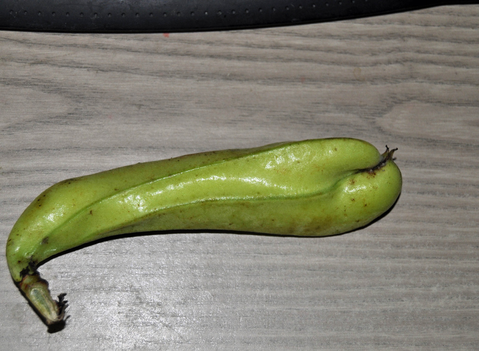 Hilarious deformed vegetables | DaiUrnal | Blipfoto