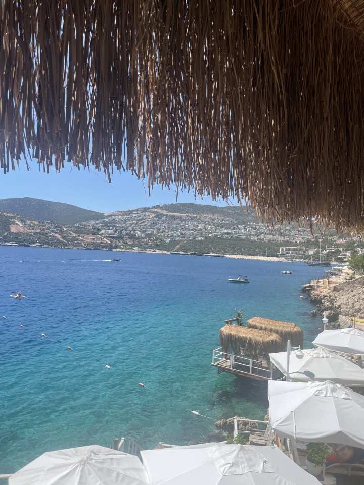 Tough life… | 58jc | Blipfoto