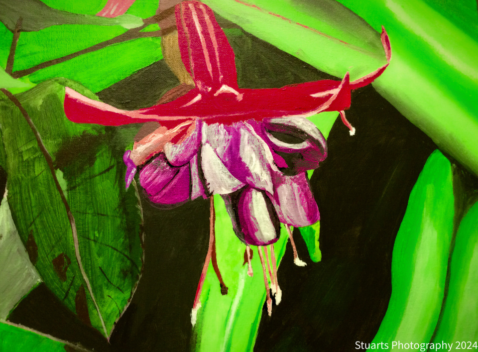 Fuchsia (painting) | Stuart46 | Blipfoto