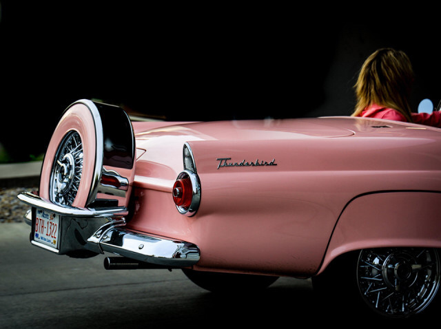 Pink Thunderbird | Lysle_Photo | Blipfoto