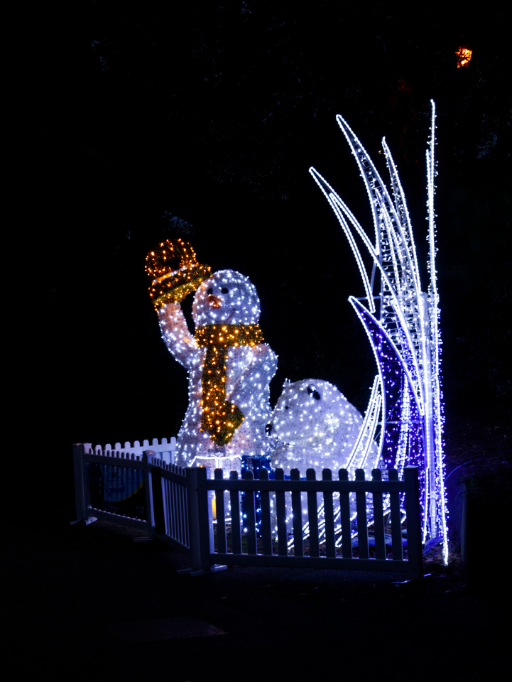 All Lit Up | 13south | Blipfoto