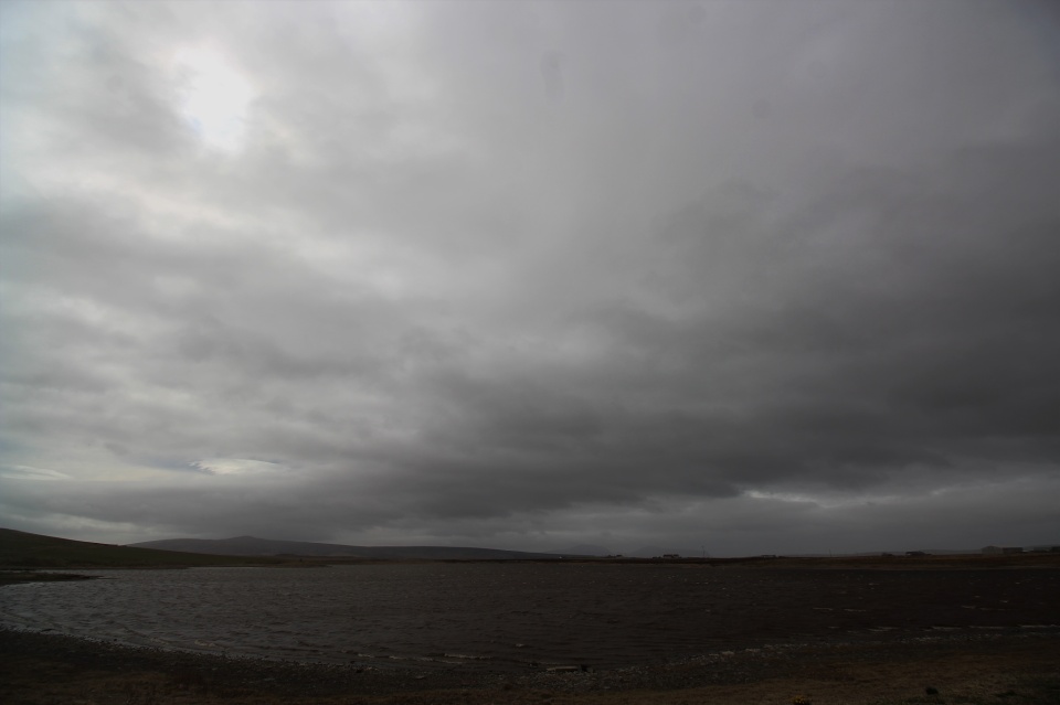 Cold, grey (Day 1804) | PorridgeWog | Blipfoto