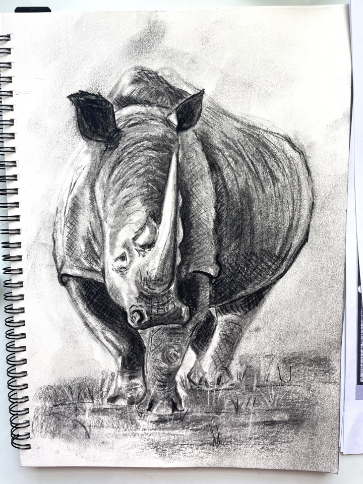 When is a hippo not a hippo... | Damnonii | Blipfoto