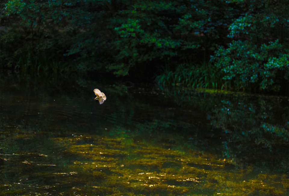 Against the Light | Hillyblips | Blipfoto