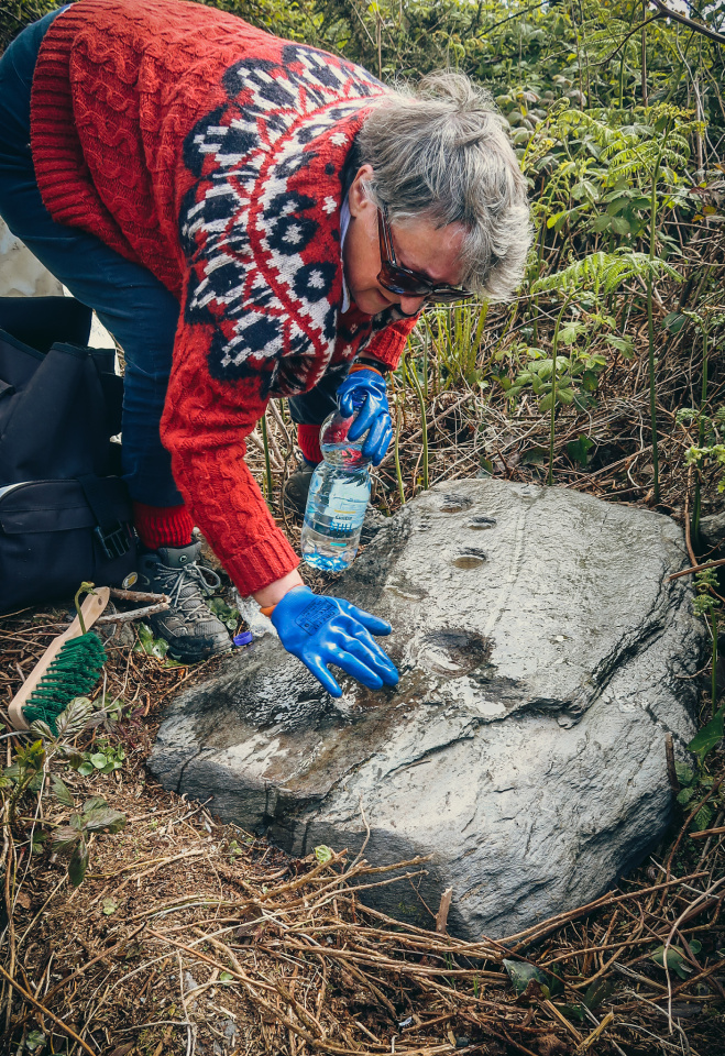 Back in the field | freespiral | Blipfoto