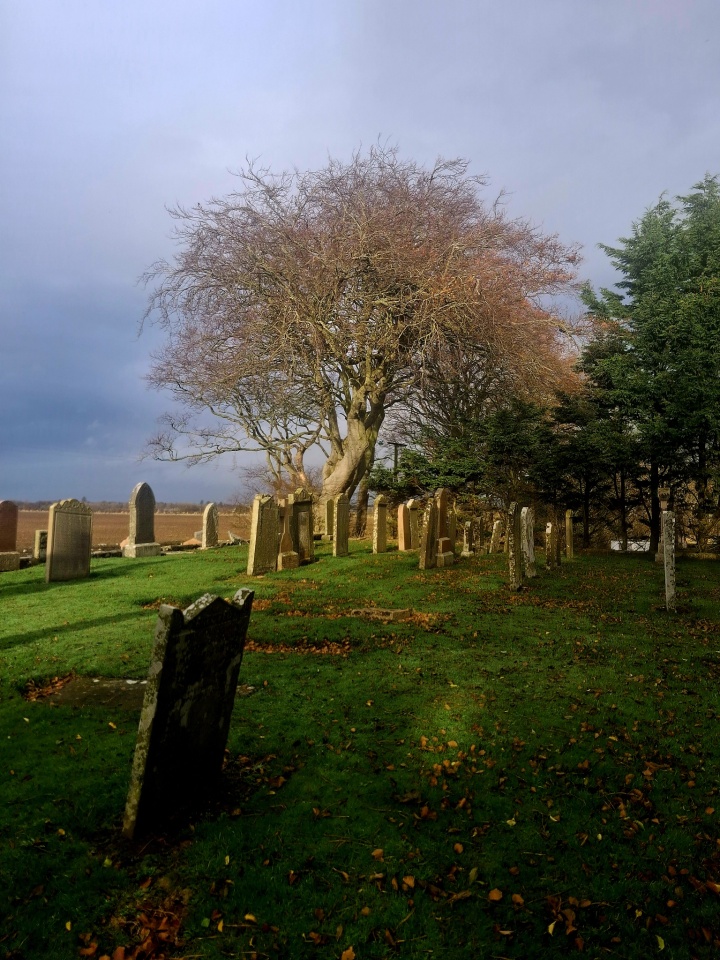 Crimond Kirkyard | Greygranite1745 | Blipfoto