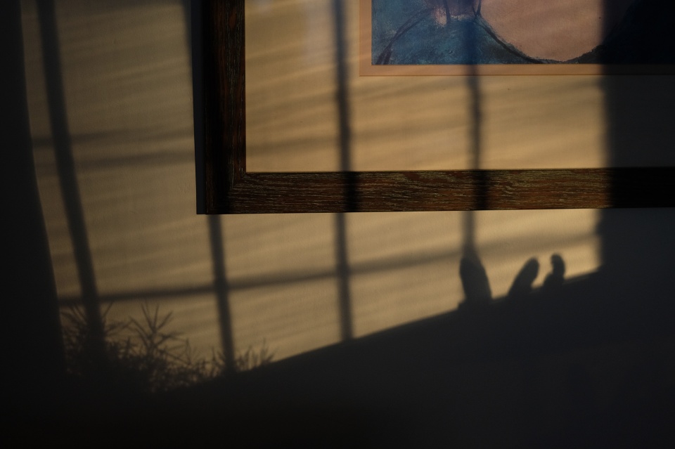 Intensity | Emsie | Blipfoto