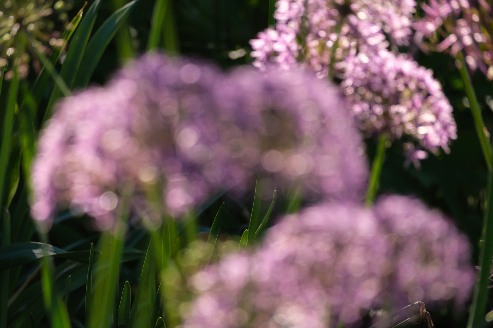 Middle Zone | MikeWest | Blipfoto