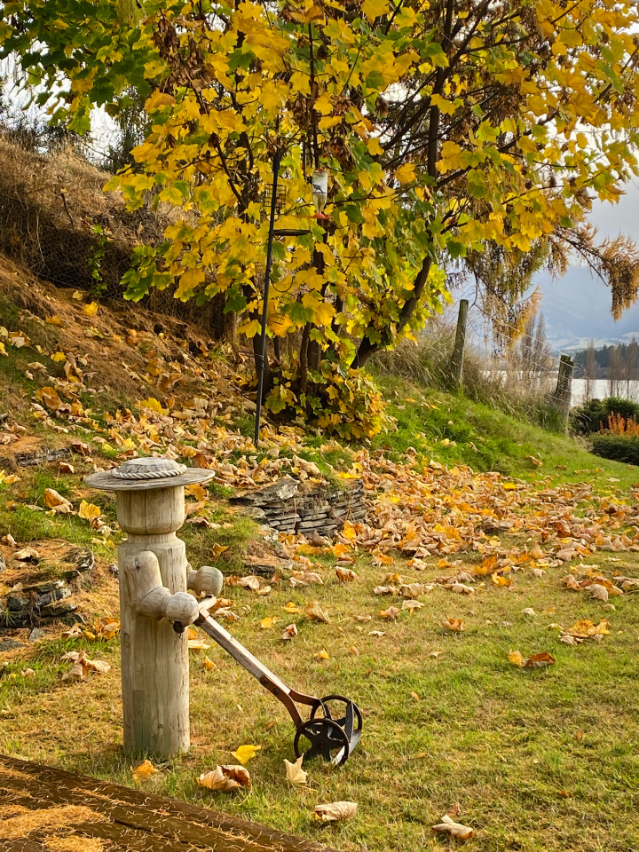 Glimmer of Sunshine | acyclinggranny | Blipfoto