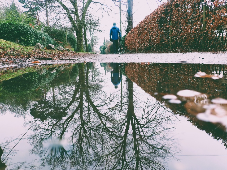puddles | spishy | Blipfoto