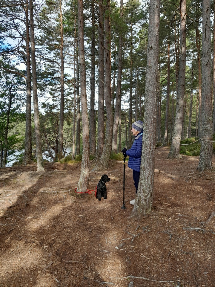 Waiting | Greygranite1745 | Blipfoto