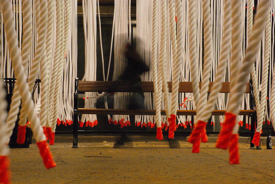 The Rope Forest | RtCph | Blipfoto