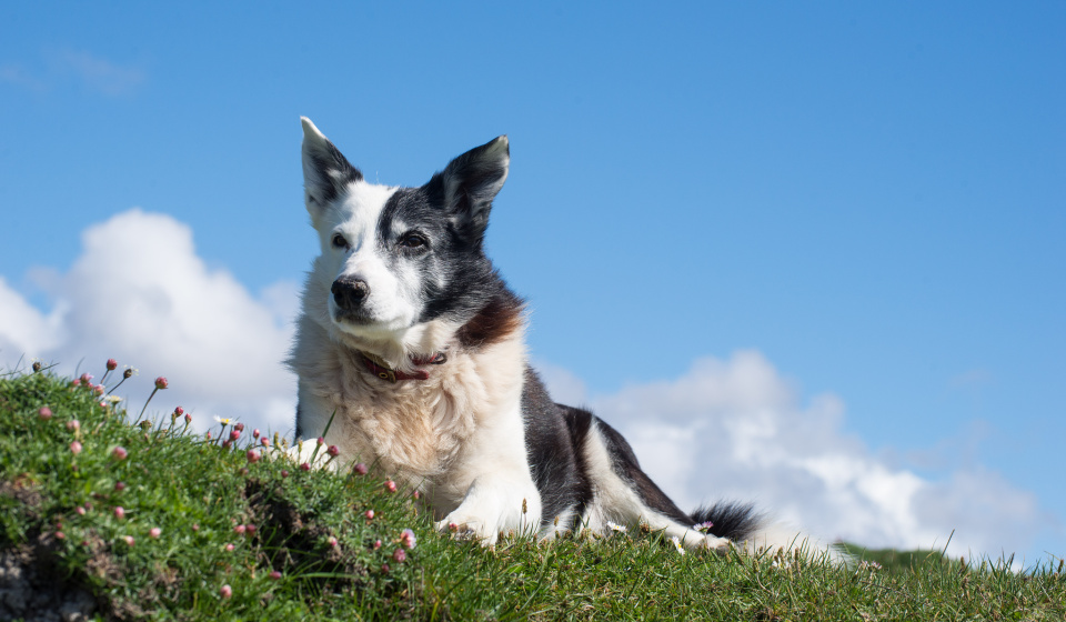 In the clouds | gladders | Blipfoto