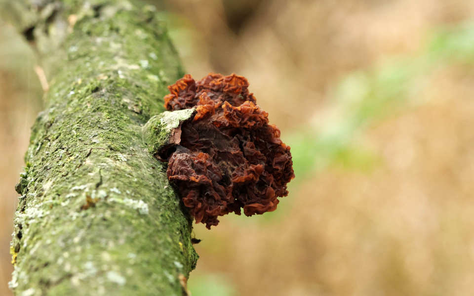 Not Sure... | Nicpic | Blipfoto