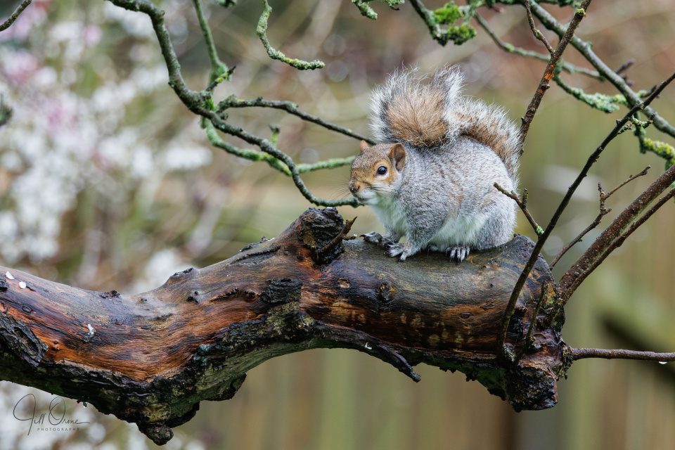 Wet | JDO | Blipfoto