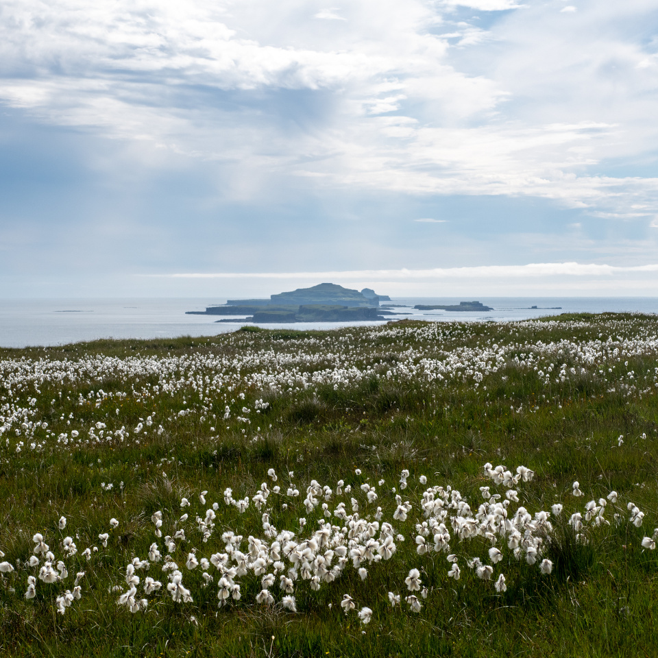 Across to the islands | Treshnish | Blipfoto