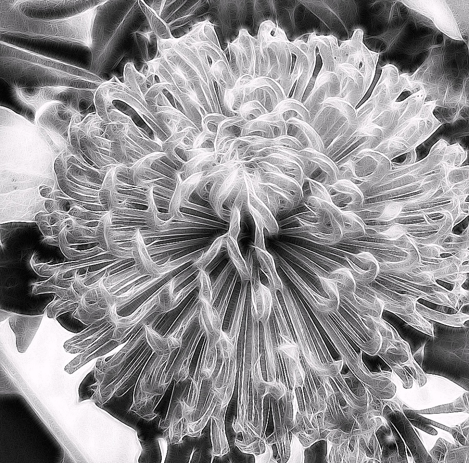 EFB! | Damnonii | Blipfoto