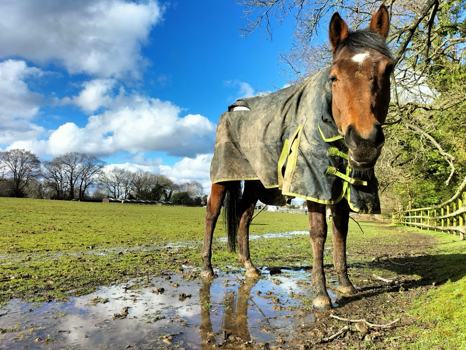 So wet! | JJ46 | Blipfoto