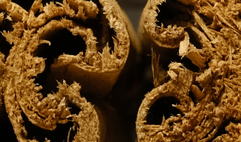 Mystery macro | LesleyAlsford | Blipfoto