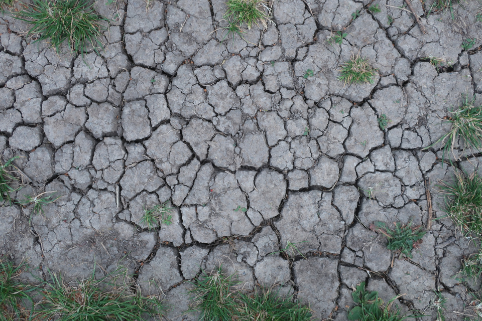 Baked Earth | Kernow | Blipfoto