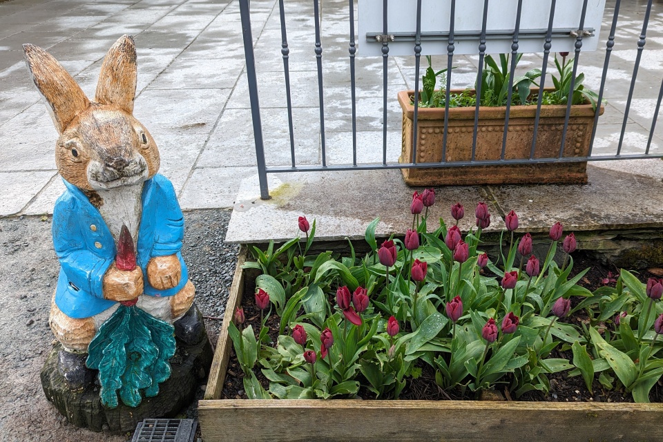 Good job Peter Rabbit had a carrot... | 60plus11 | Blipfoto