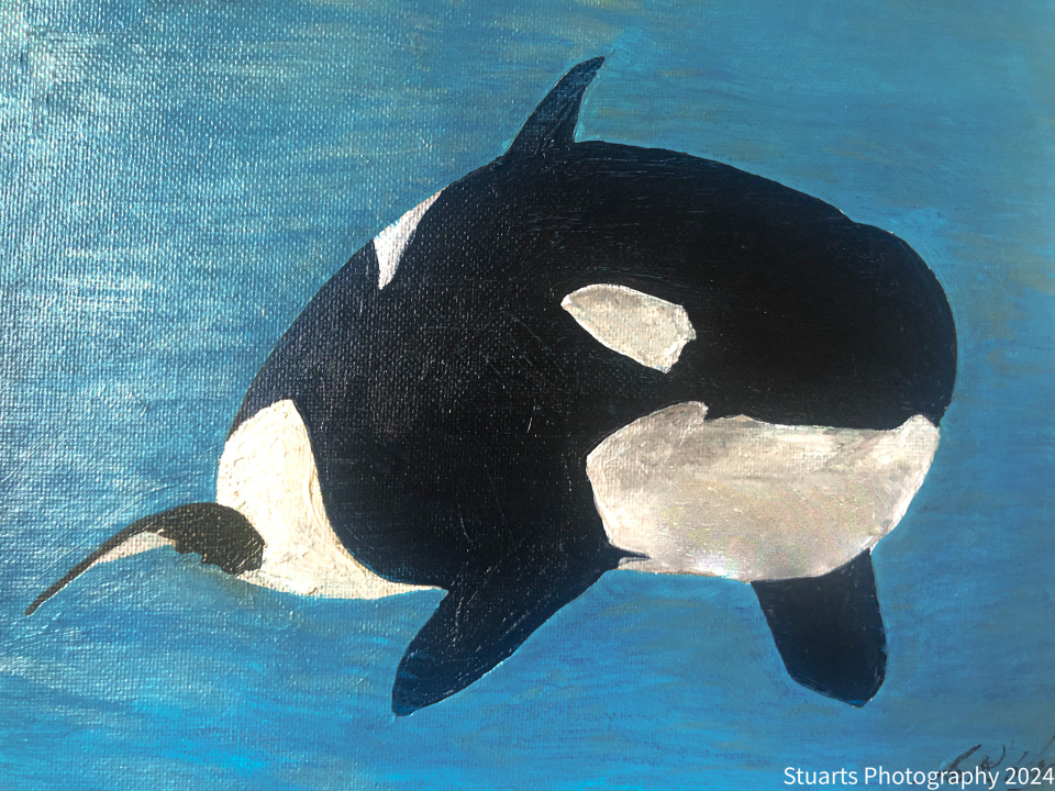 Orca (painting) | Stuart46 | Blipfoto
