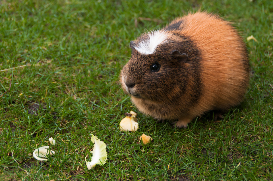 Haribo | KennyRiley | Blipfoto