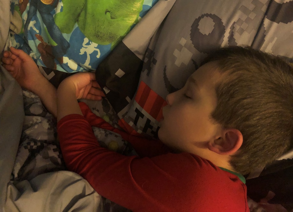 Sleeping Beauty | TurtleBug | Blipfoto