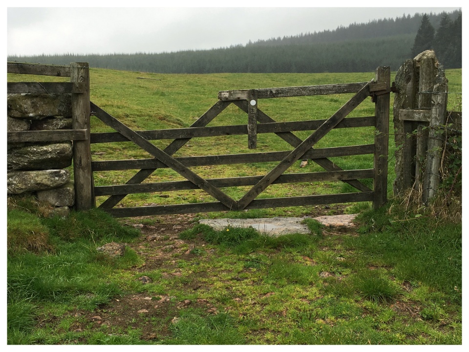 Four and a half barred gate | Mover | Blipfoto