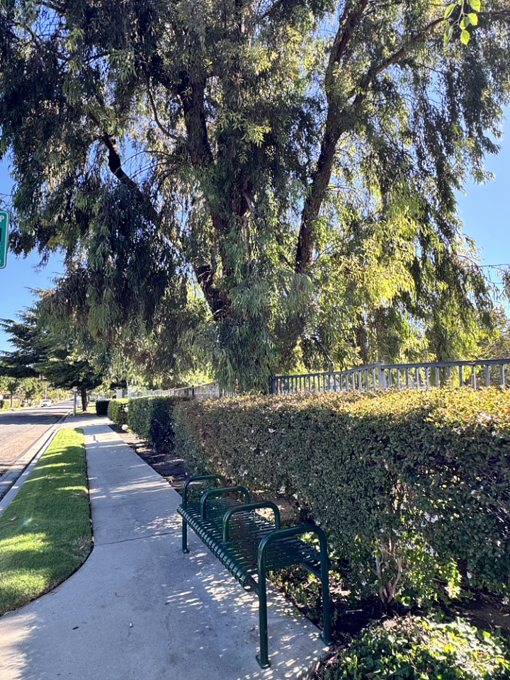 PARK BENCH | simisue | Blipfoto