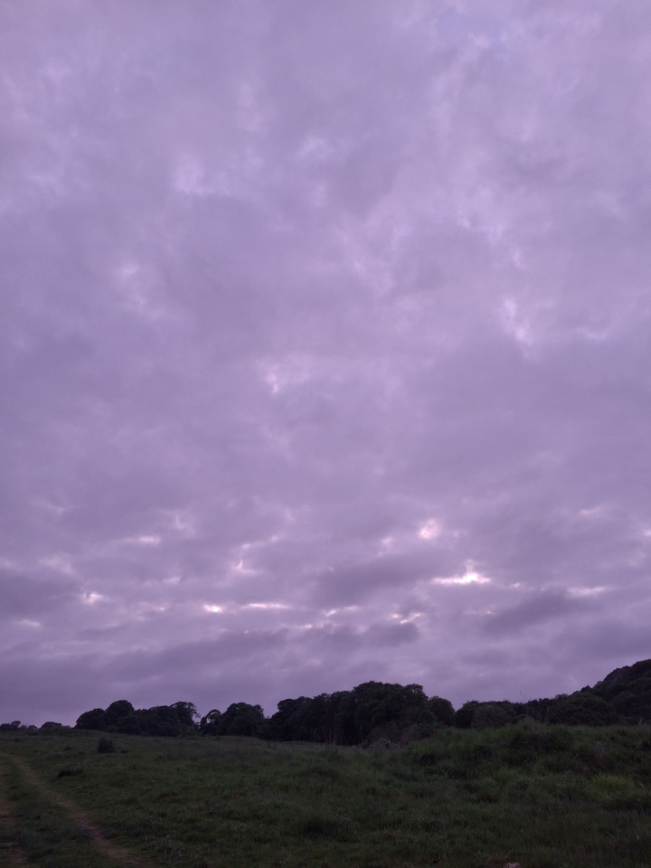 Evening walk | EcoDad | Blipfoto