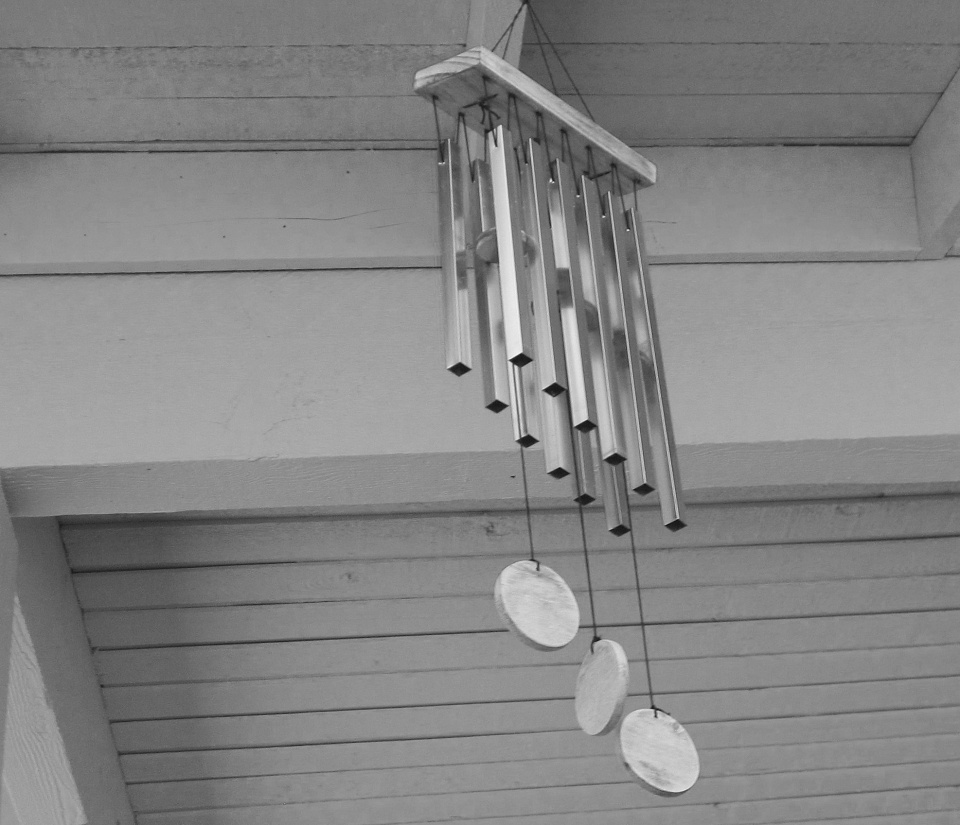 Photo Credits to Little Miss Ellie | loisbiz | Blipfoto