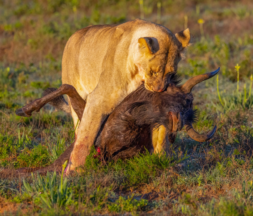 View to a Kill | Hillyblips | Blipfoto