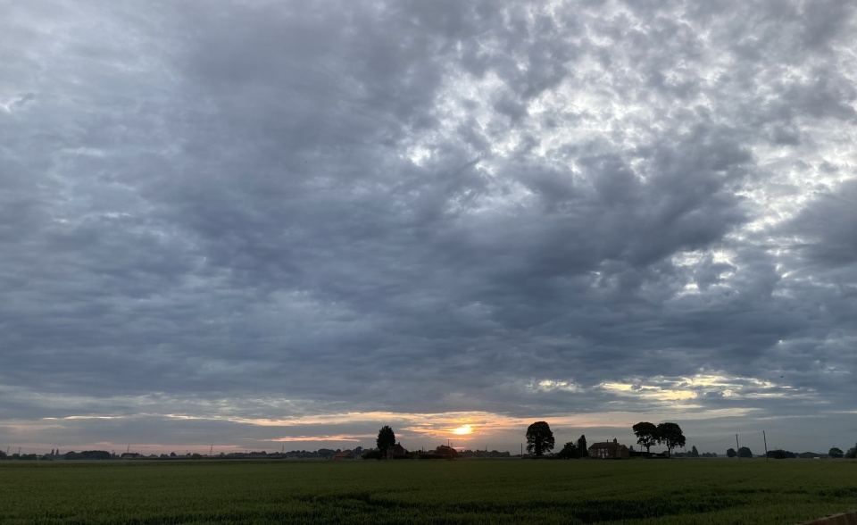 Over the fence | Alison666 | Blipfoto