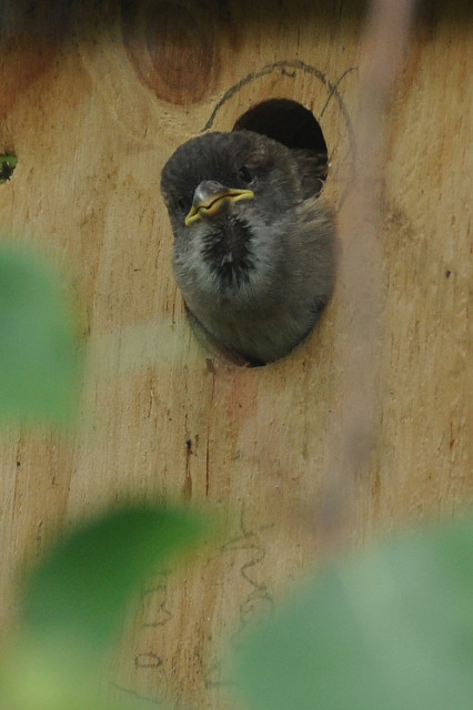 Where's Dad? | gladders | Blipfoto