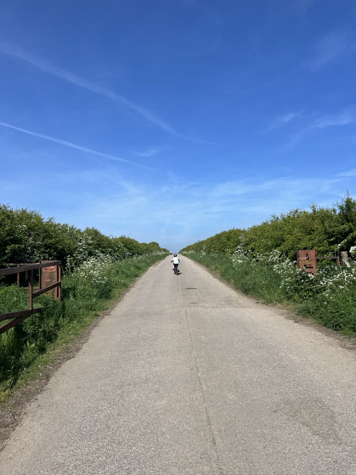 Distant relative | Romay | Blipfoto