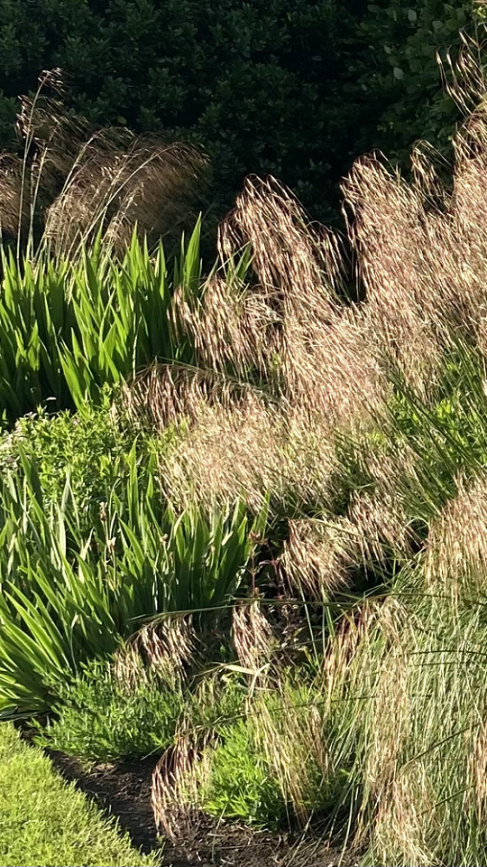 Sun swirl | shazzieb | Blipfoto