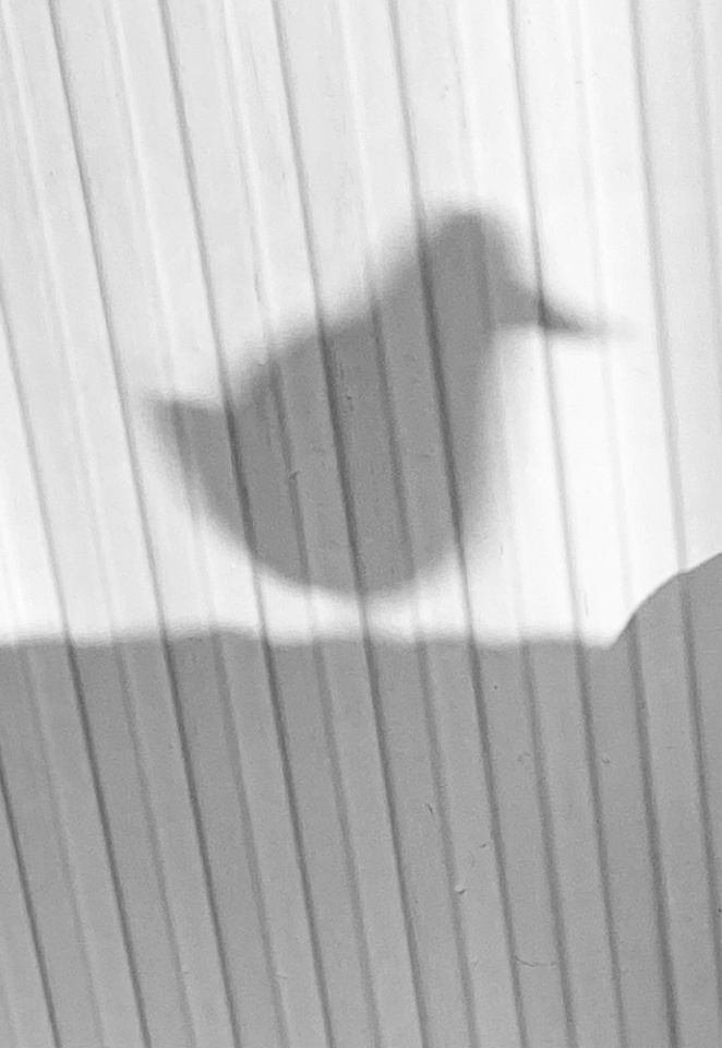 The Shadow. | jimbo2750 | Blipfoto