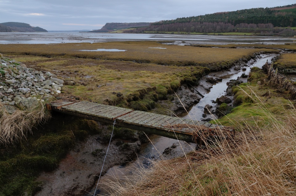 Munlochy Bay, near the end... | PeninsulaLight | Blipfoto